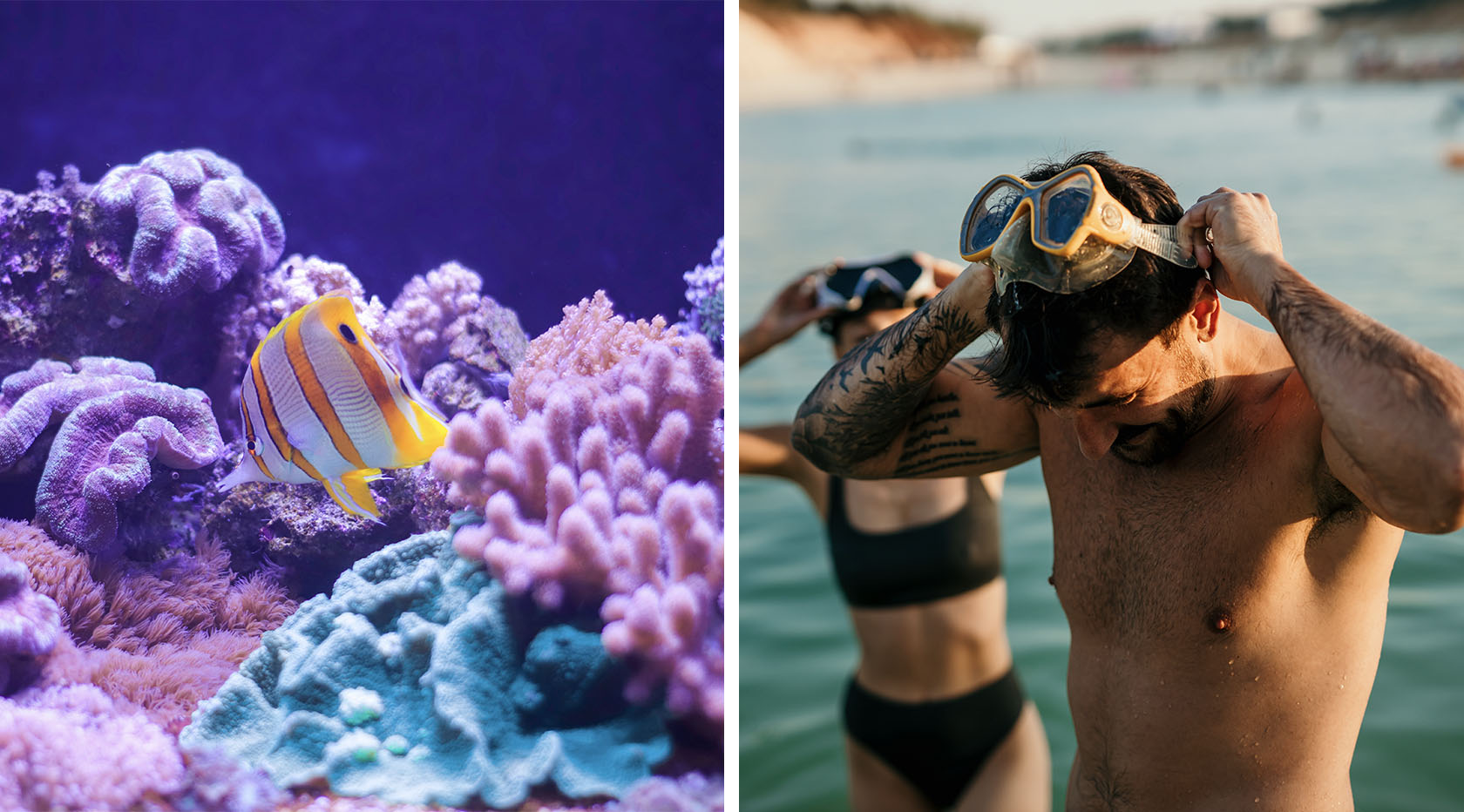 7 Beachfront Activities to Enjoy While Staying in Your Turks and Caicos ...